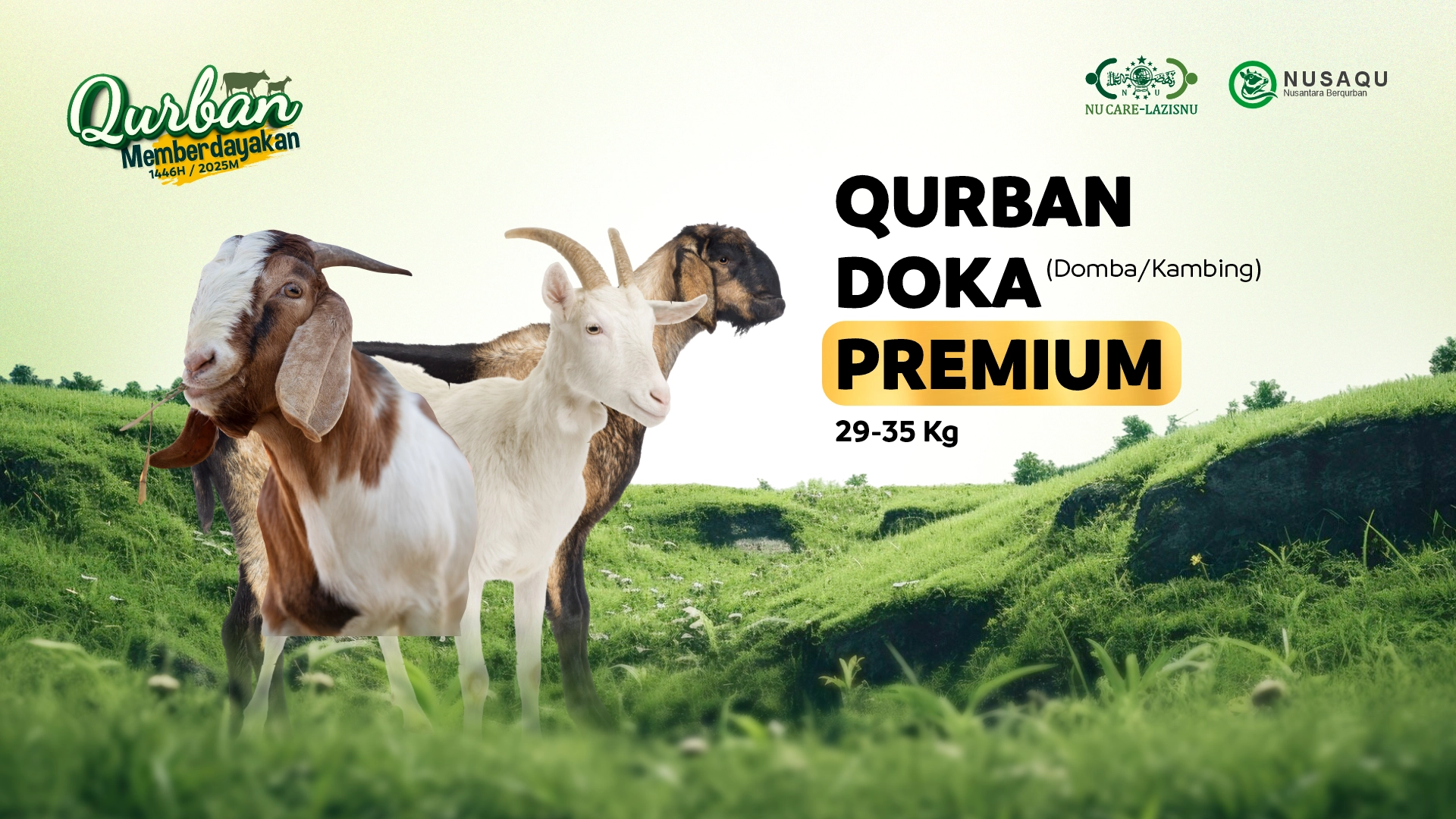 Kambing/Domba Qurban Premium | Donasi Pengembangan NU Online