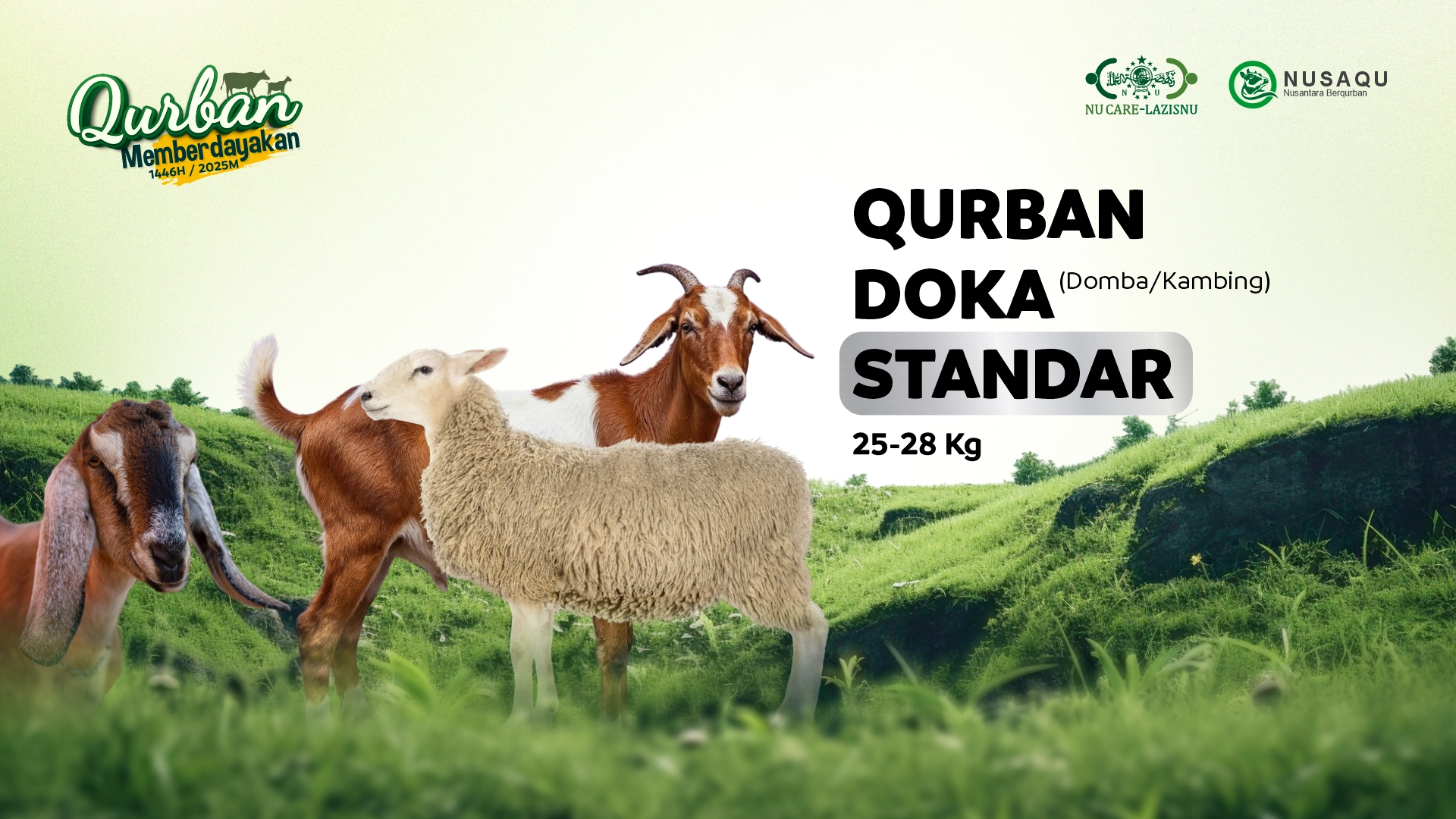 Kambing/Domba Qurban Standar | Donasi Pengembangan NU Online