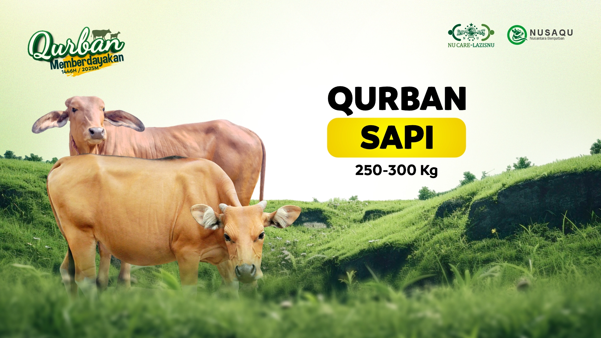 1/7 Sapi Qurban | Donasi Pengembangan NU Online